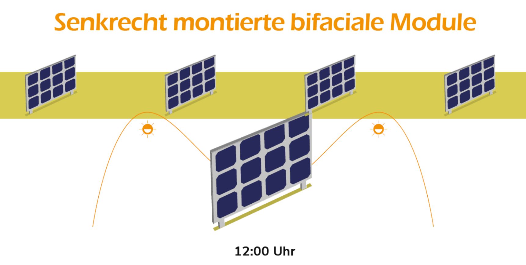 Market & Technology Leader in Vertical Bifacial Photovoltaics