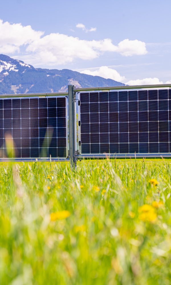 Solarzaun von Next2Sun: Nachhaltige Stromgewinnung & Sichtschutz