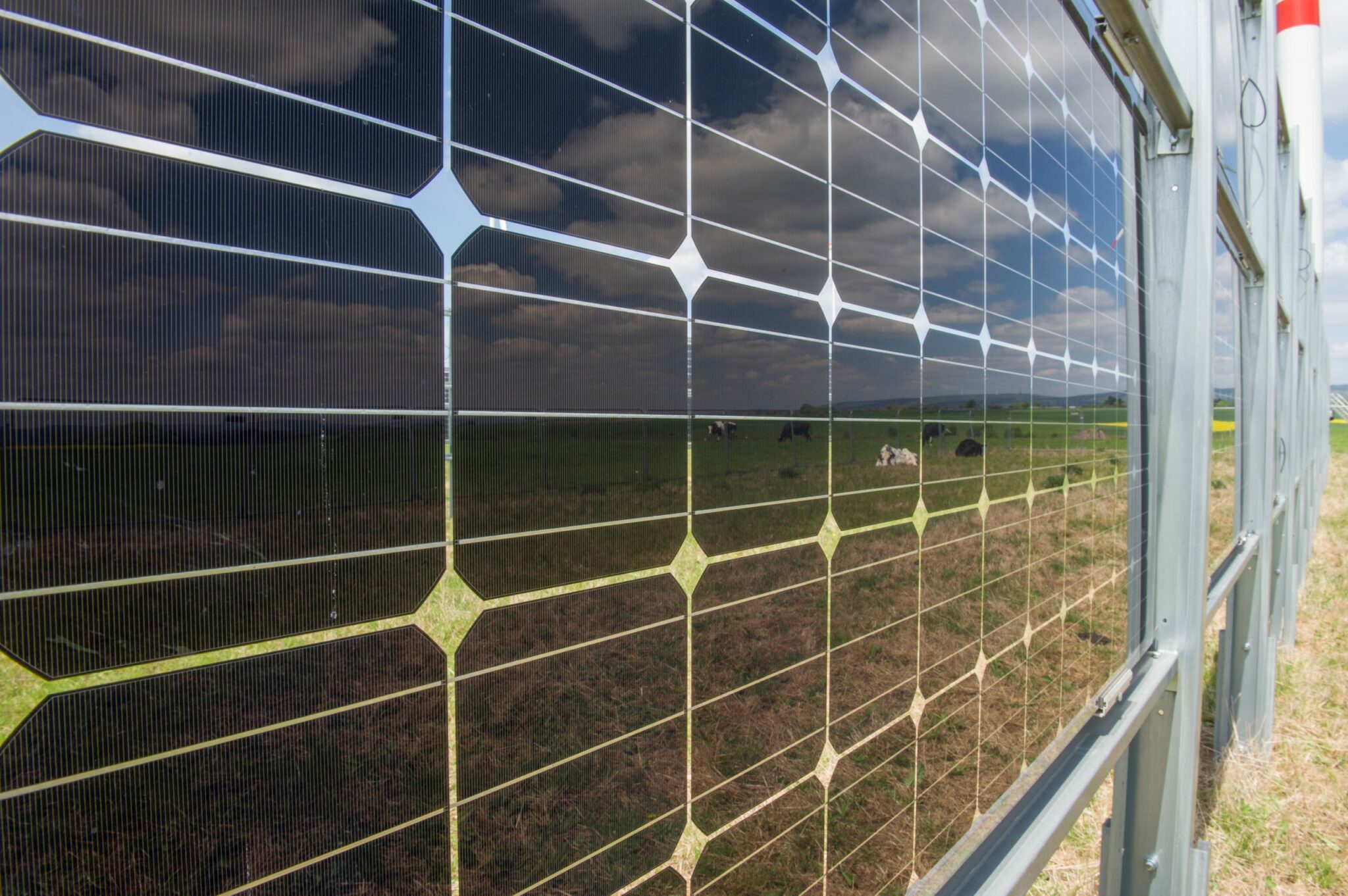 Vertikale Agri-PV von Next2Sun für doppelte Landnutzung